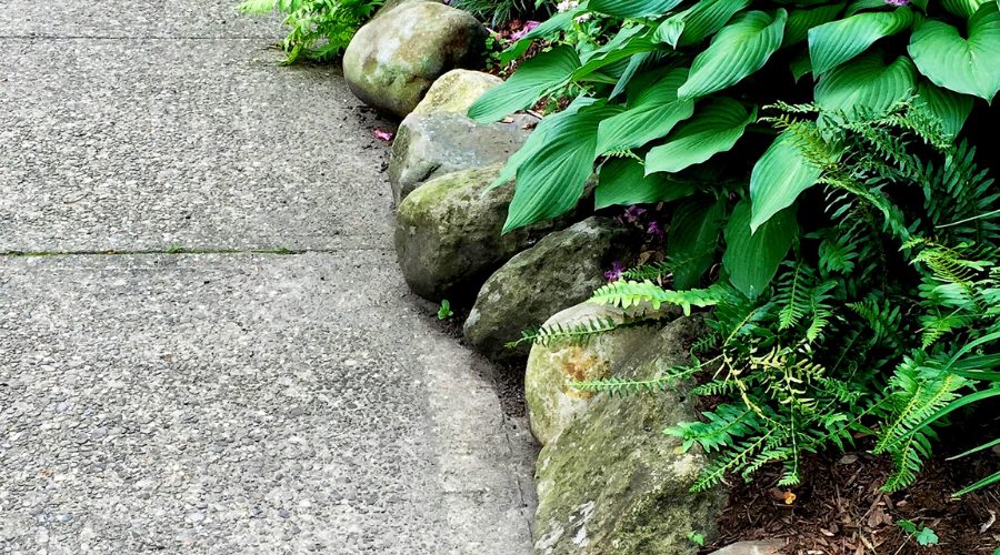 52 of the Best Landscape Edging Ideas