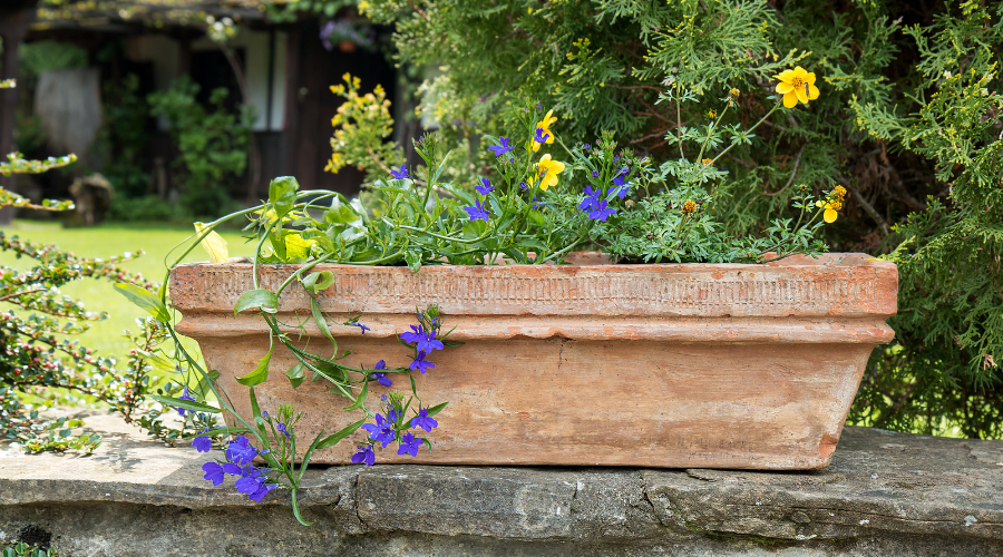 40 Awesome and Cheap Landscaping Ideas