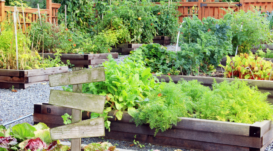 40 Awesome and Cheap Landscaping Ideas