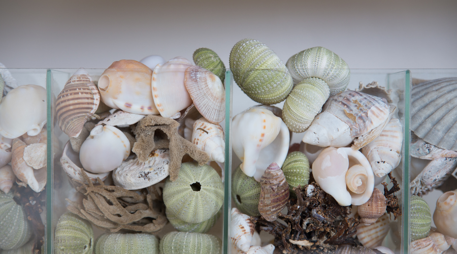 53 DIY Bird Bath Design Ideas