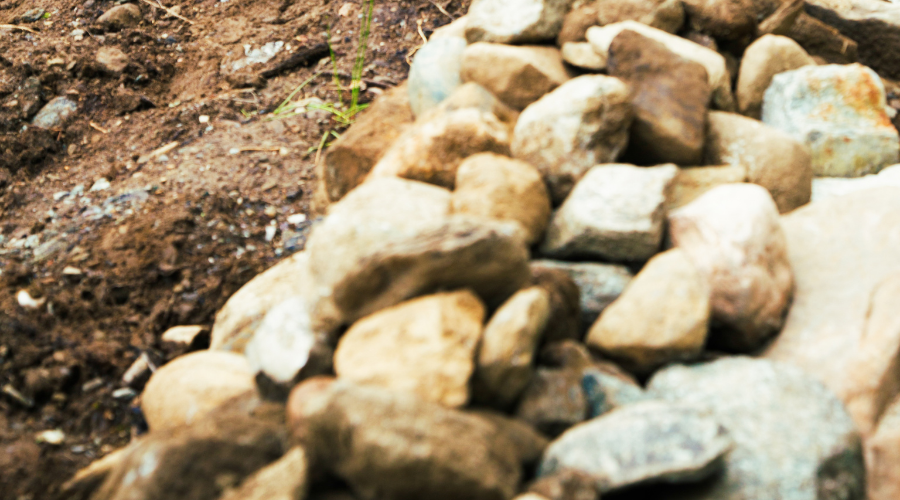 52 of the Best Landscape Edging Ideas