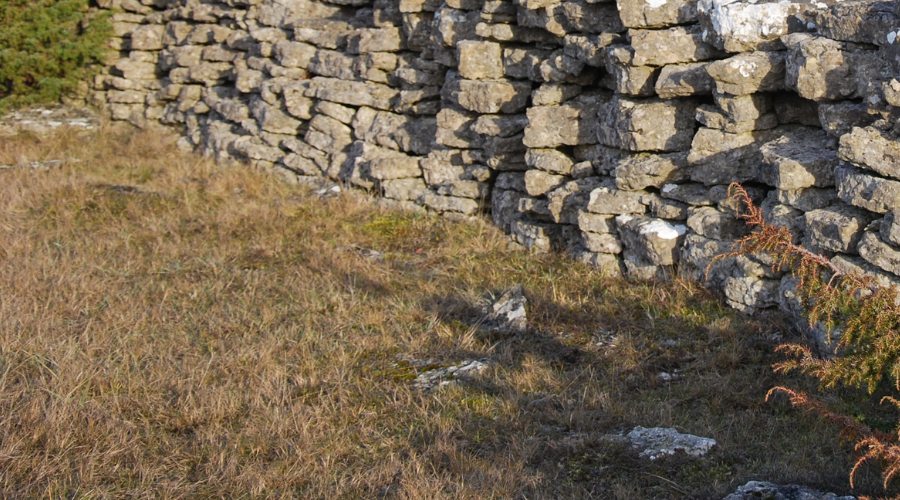 52 of the Best Landscape Edging Ideas