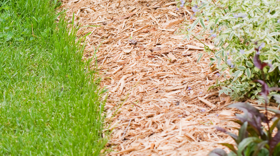 52 of the Best Landscape Edging Ideas