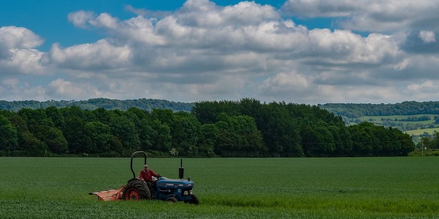 Riding Mower vs Push Mower: Which is Best For Your Yard?