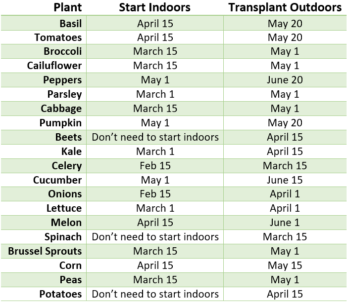 Everything You Need To Know About When To Plant Your Vegetable Garden