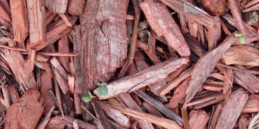 Everything You Need to Know About How to Use a Wood Chipper