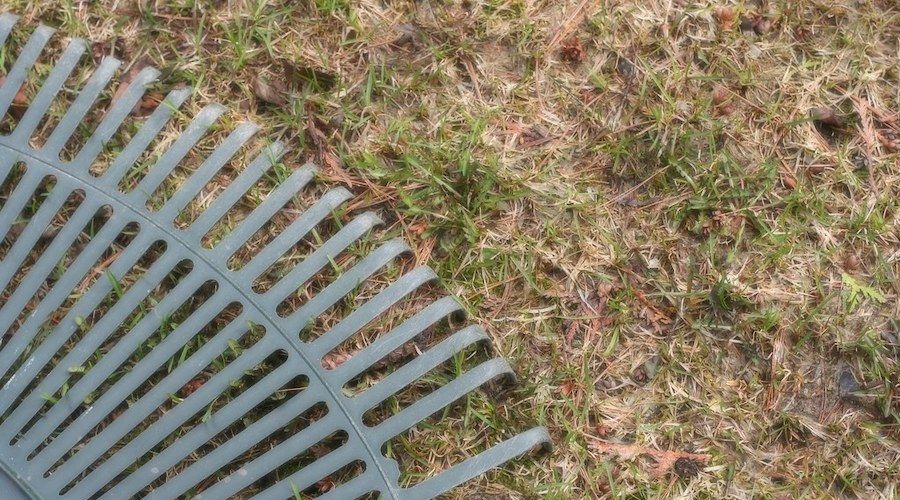 How To Fix an Over-Fertilized Lawn