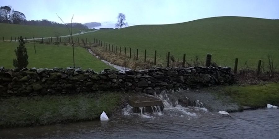 How To Stop Your Garden From Flooding