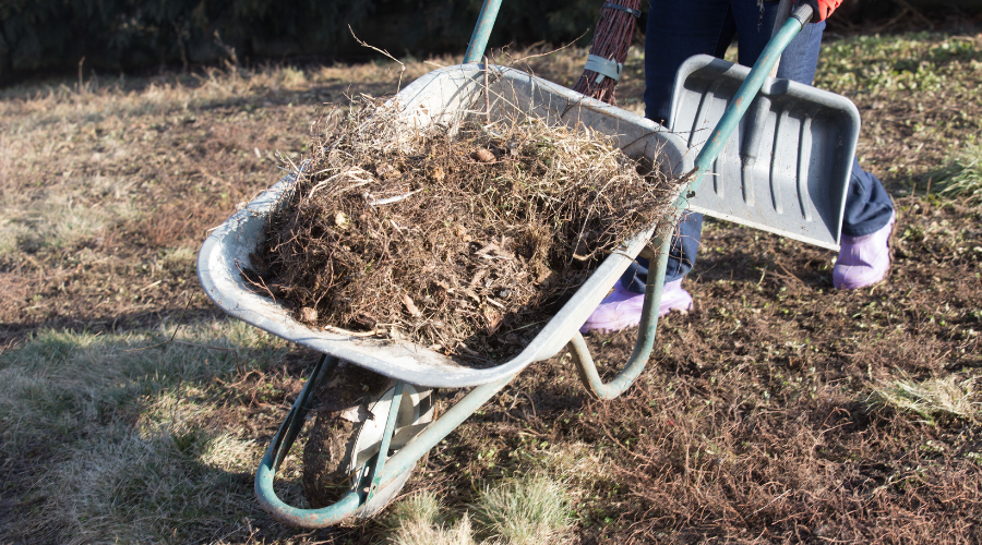 Spring Gardening Jobs To Get Your Garden In Shape