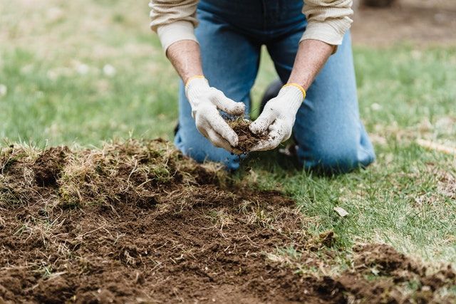 What is Loam Soil?