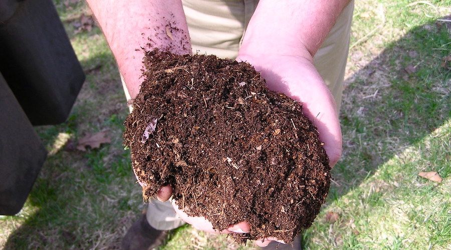 How To Compost On a Balcony
