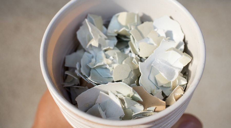 How To Use Eggshells In Your Garden