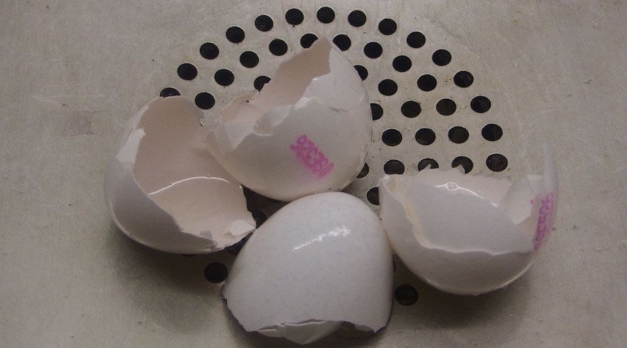 How To Use Eggshells In Your Garden