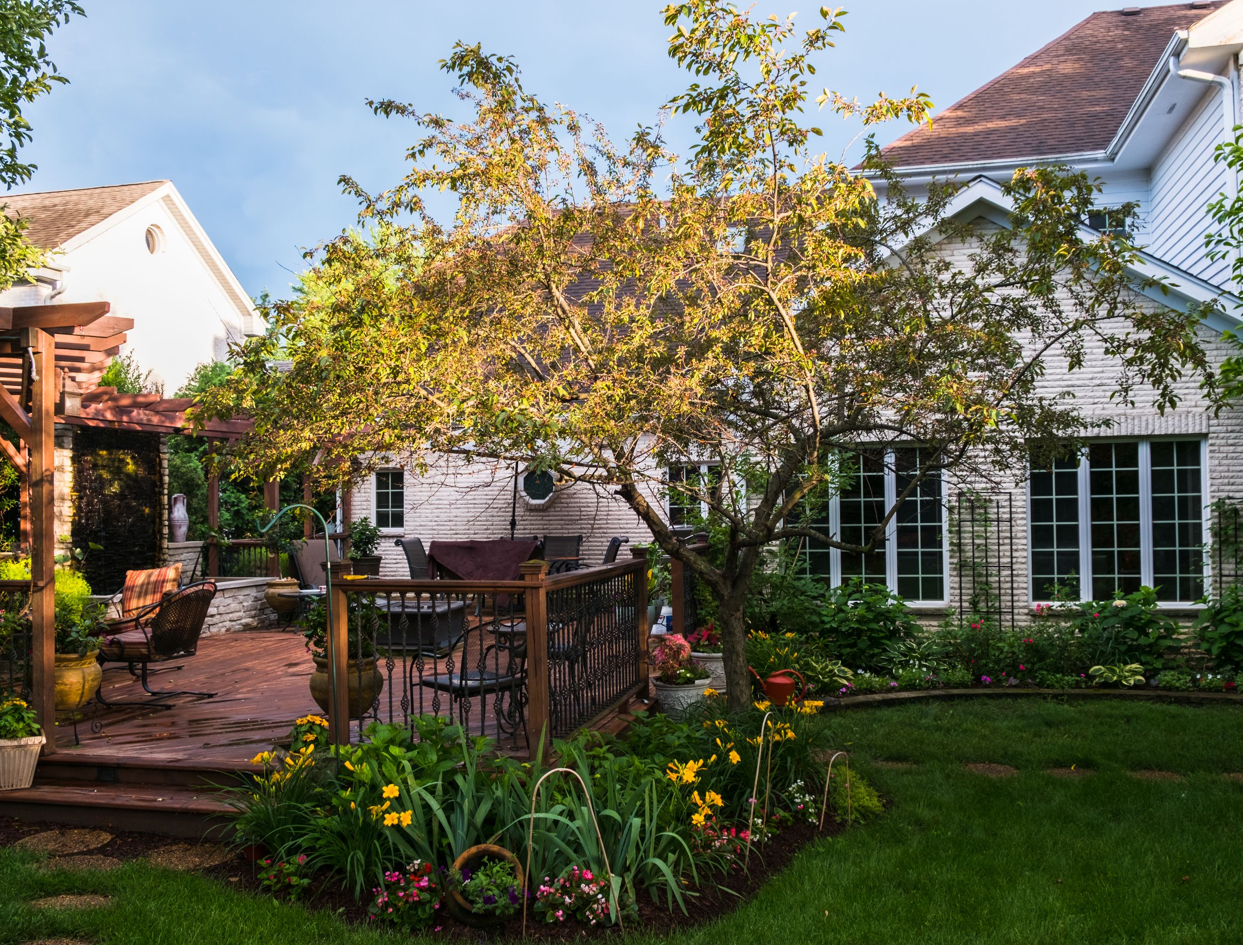 8 Fast-Growing Shade Trees