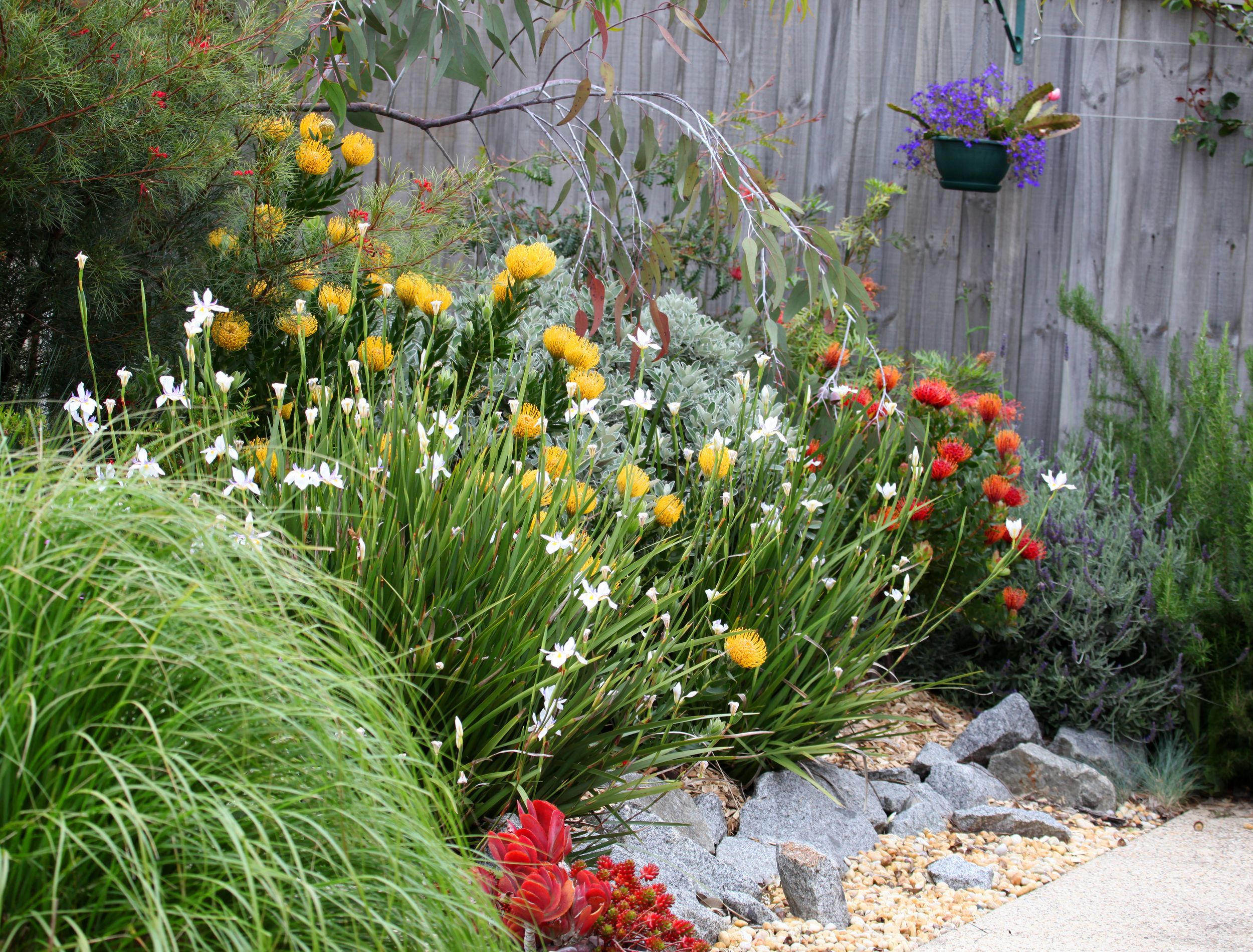 Choose These Native Alternatives to Invasive Plants