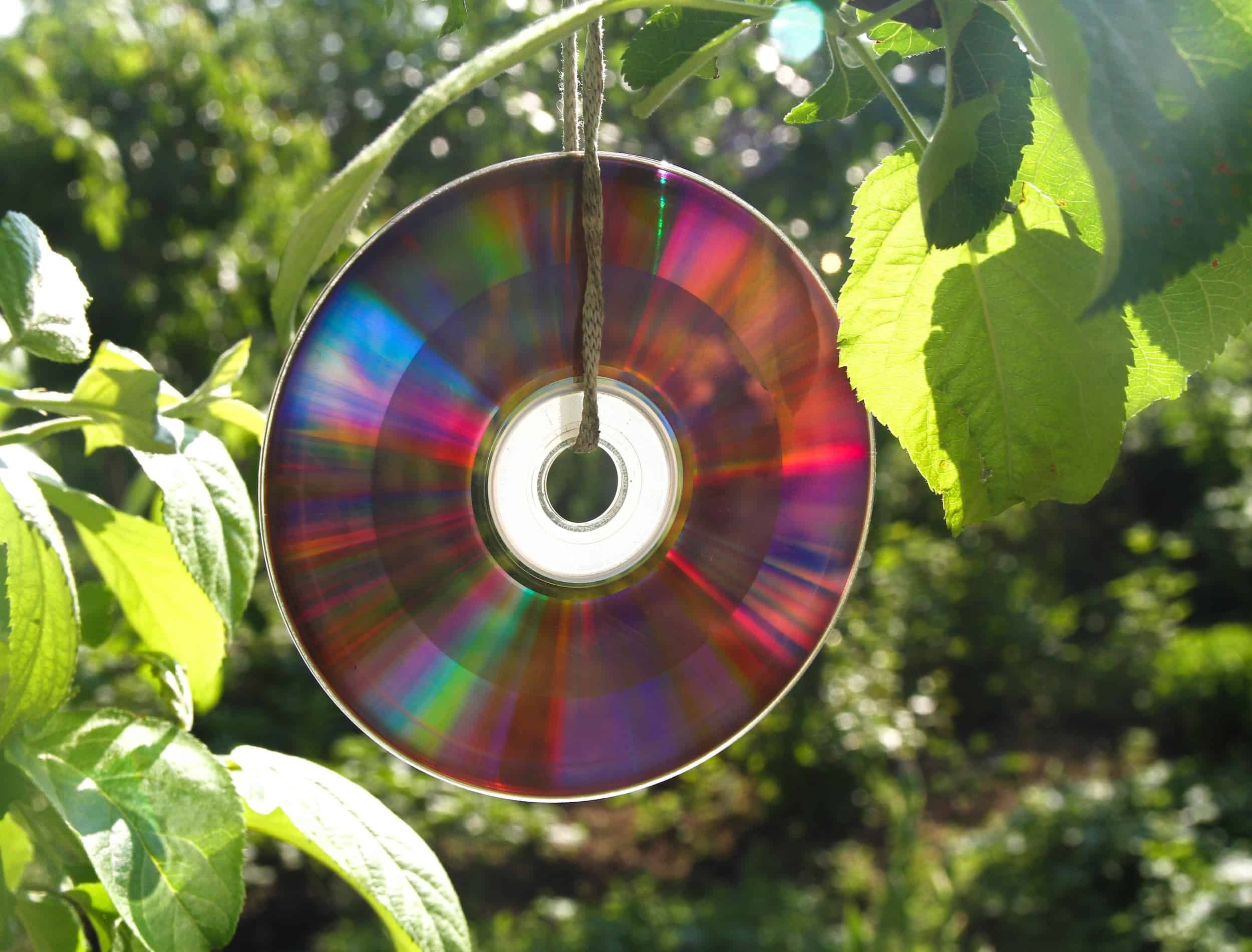 9 Gardening Secrets the Experts Never Tell You