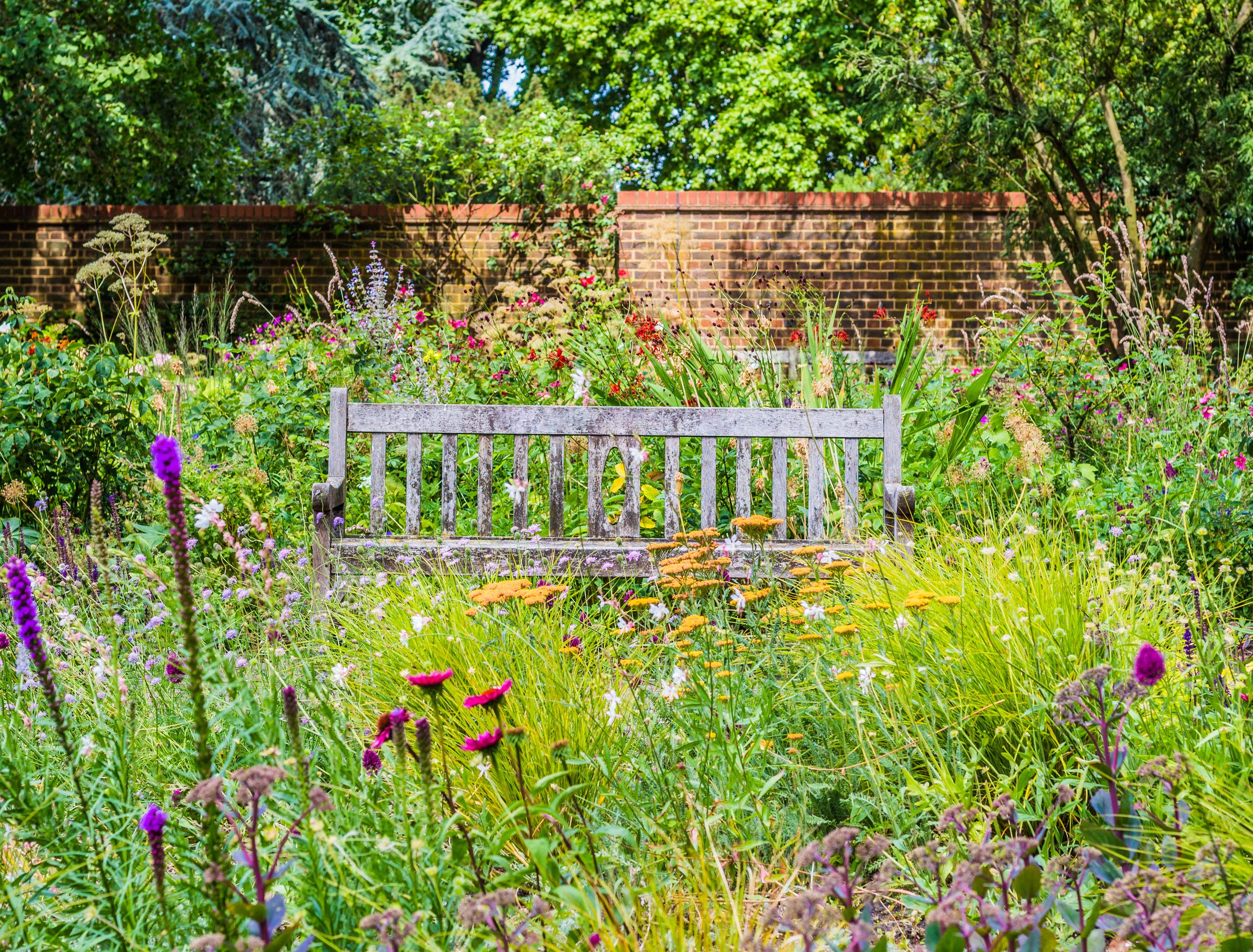 How To Turn Your Lawn Into A Wildflower Meadow