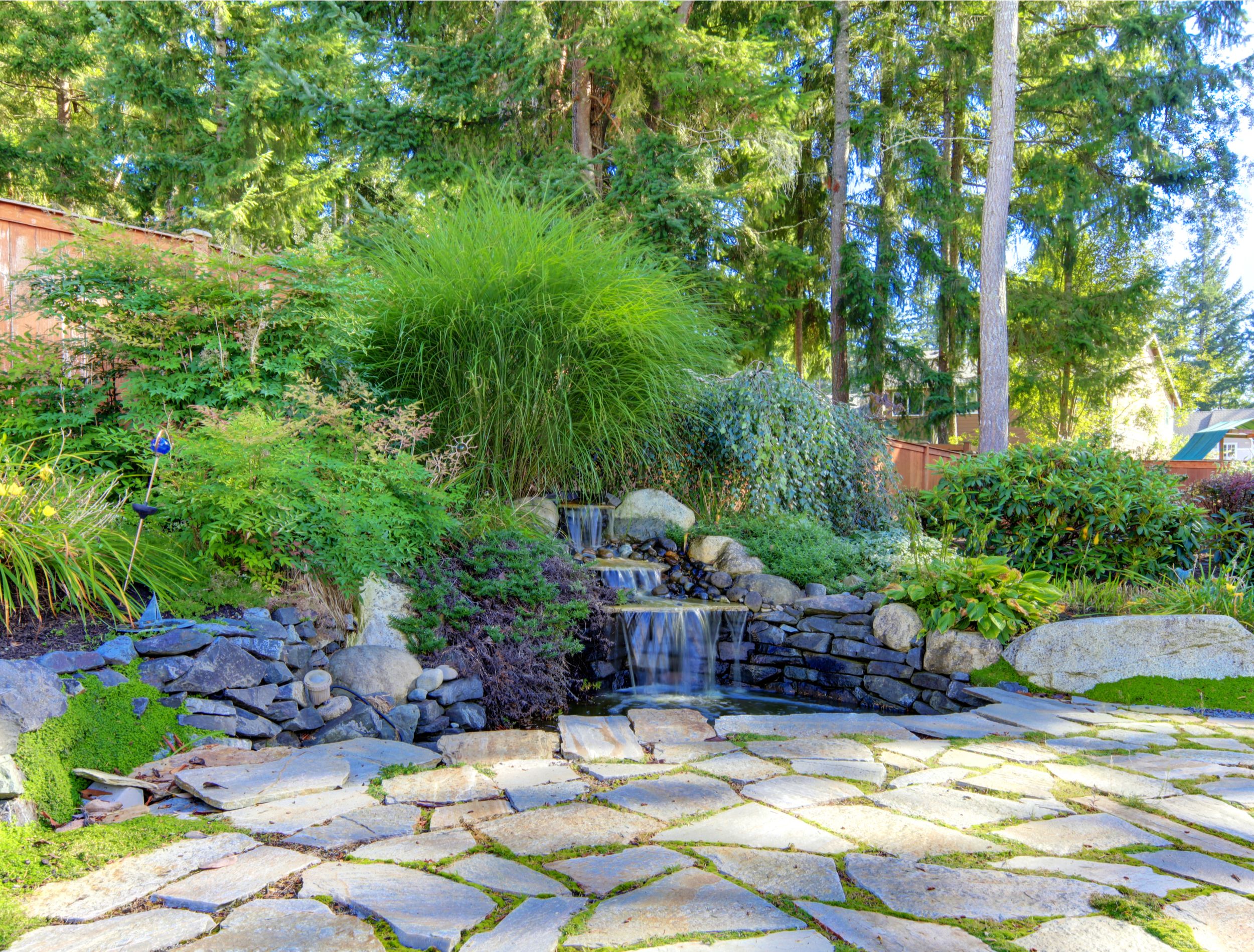 8 Naturalized Landscaping Ideas