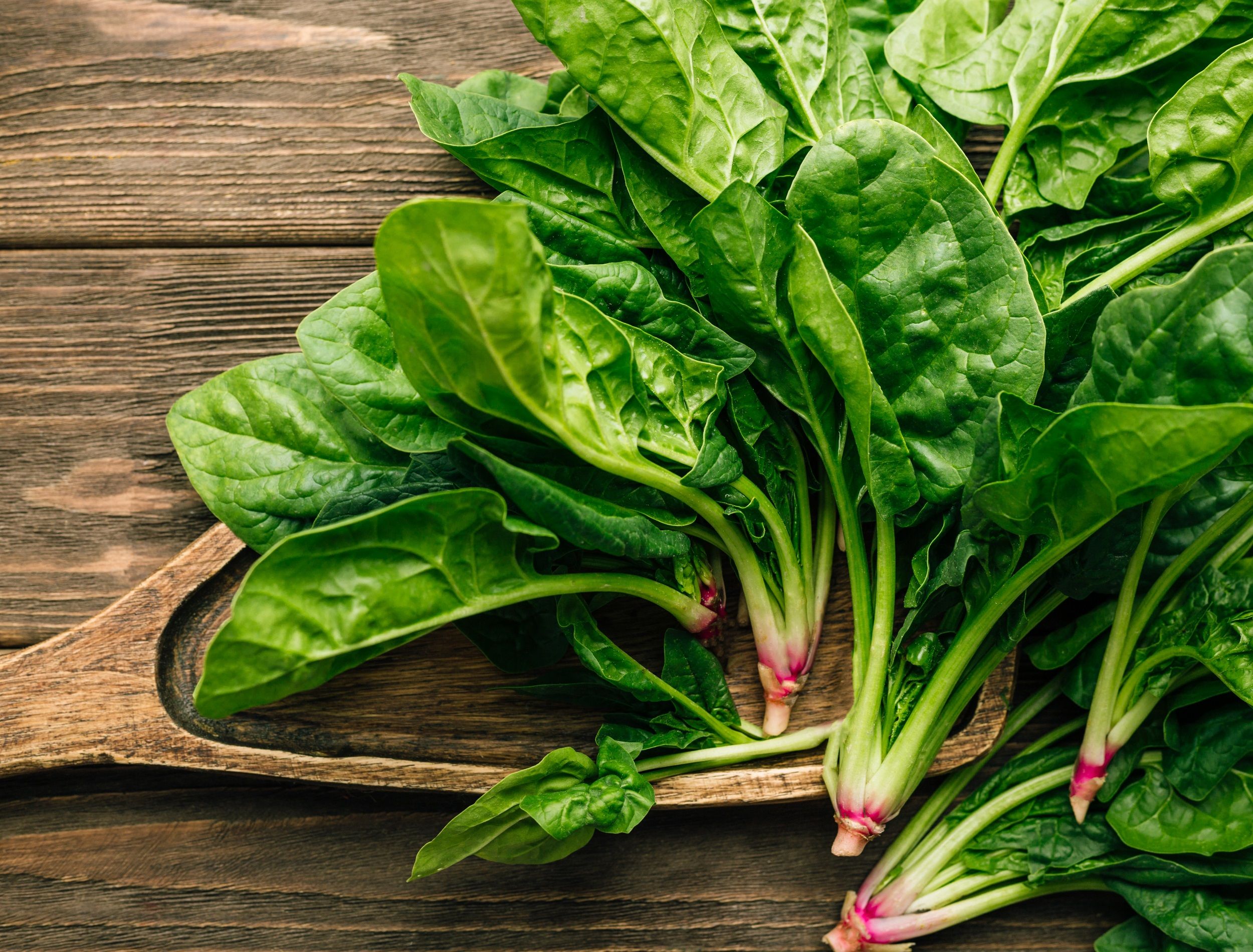 How to Grow Spinach