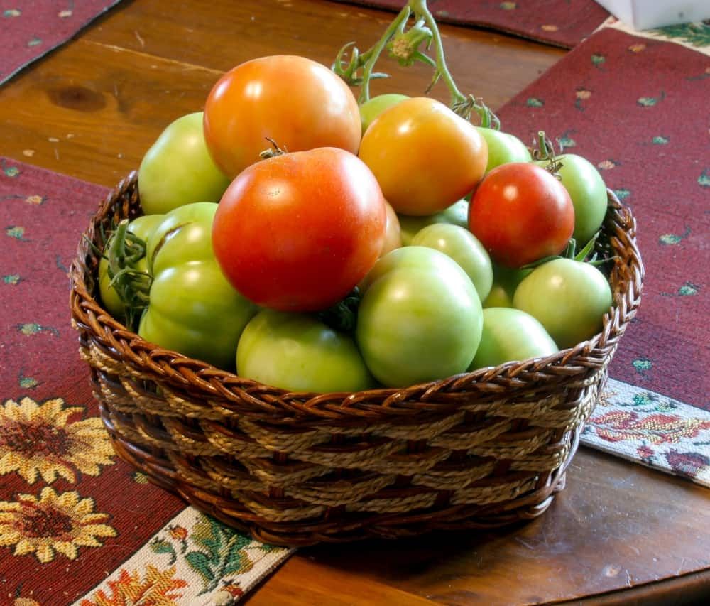 5 Ways To Get Green Tomatoes To Ripen