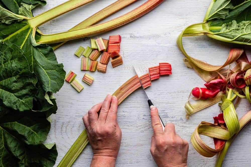 How to Harvest Rhubarb