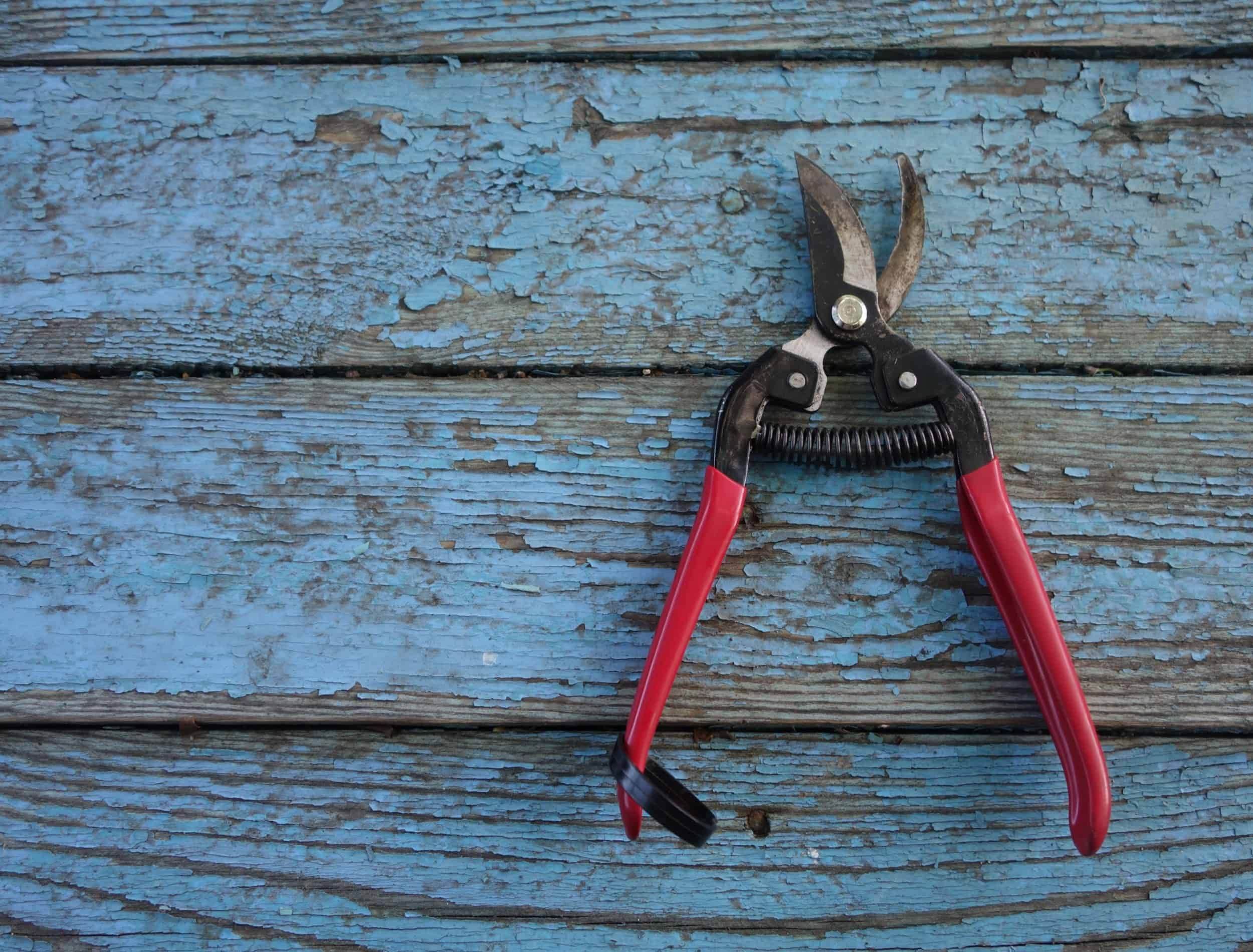 How to Sharpen Your Garden Shears