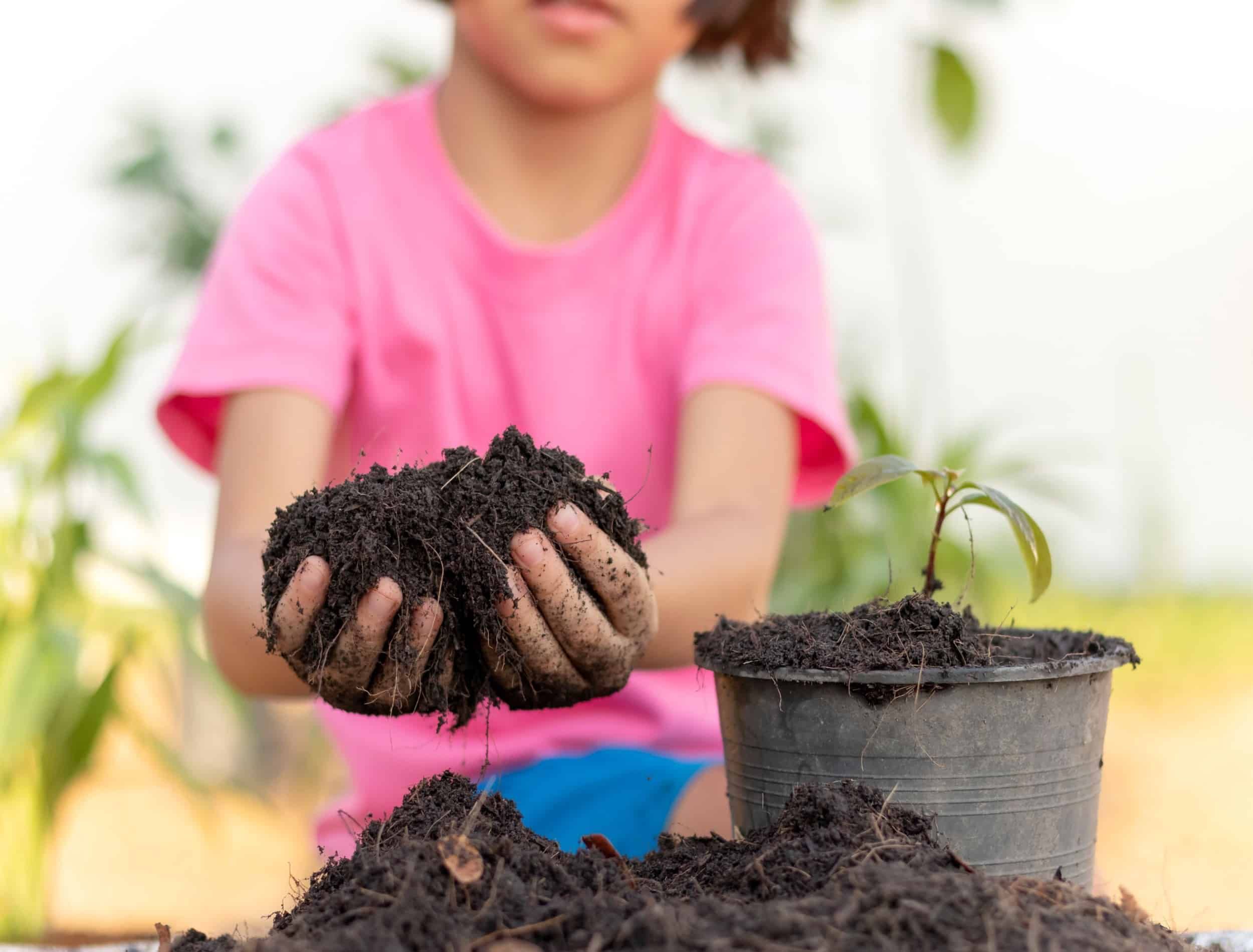 How To Properly Store Potting Soil