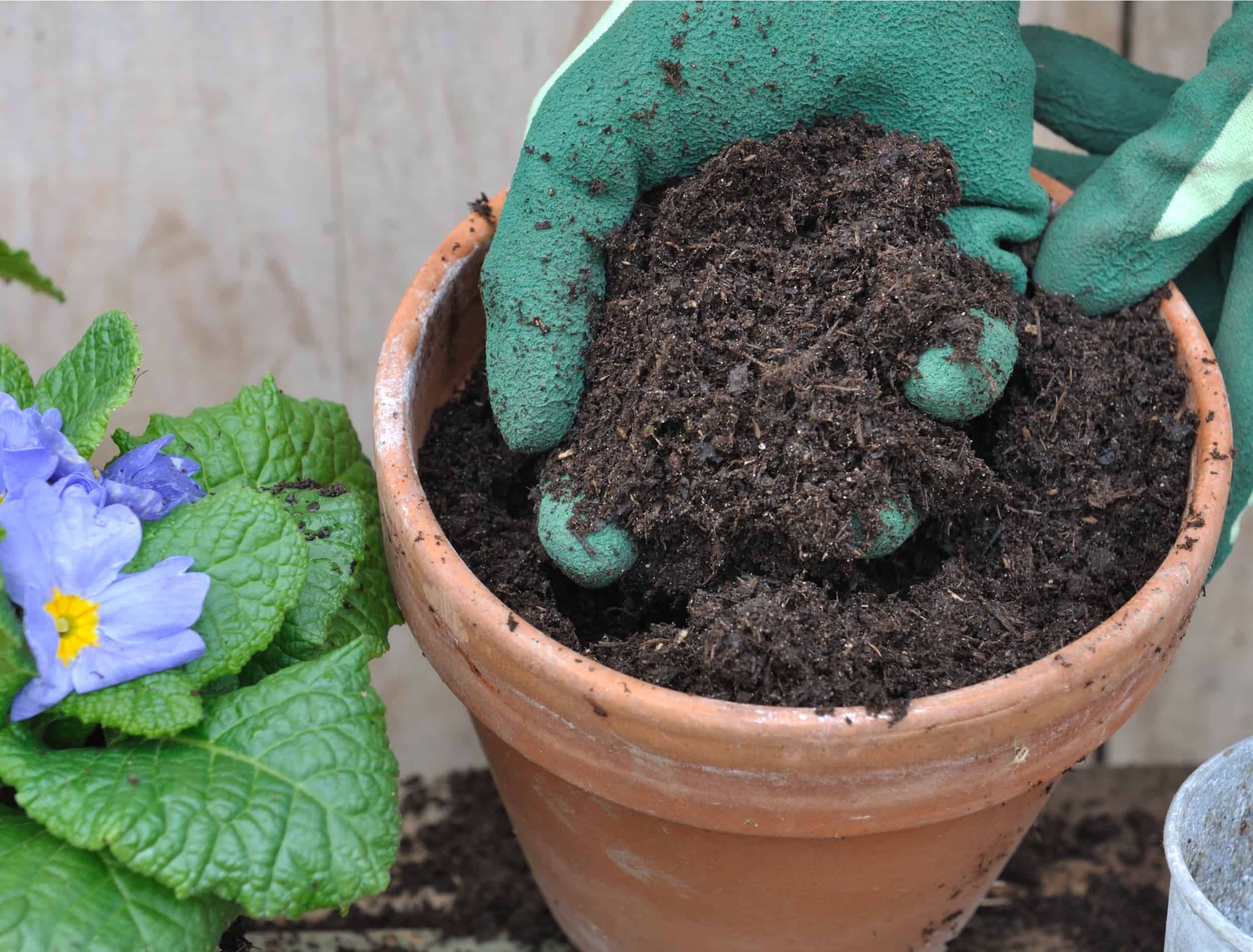 How To Make Your Own Garden Soil