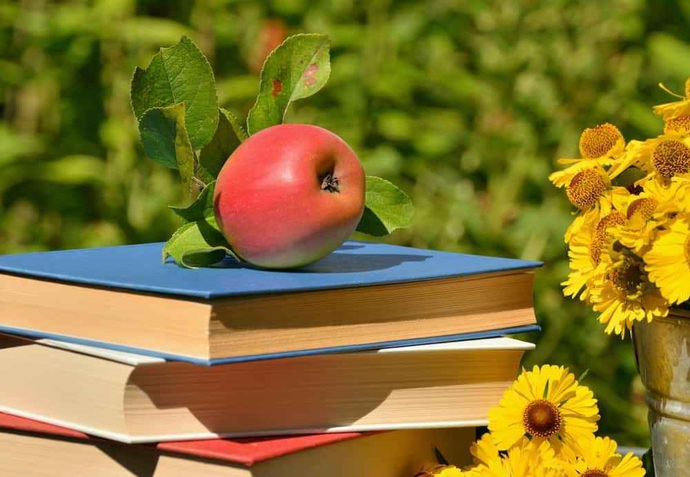 10 Tips To Growing A Greenhouse Garden