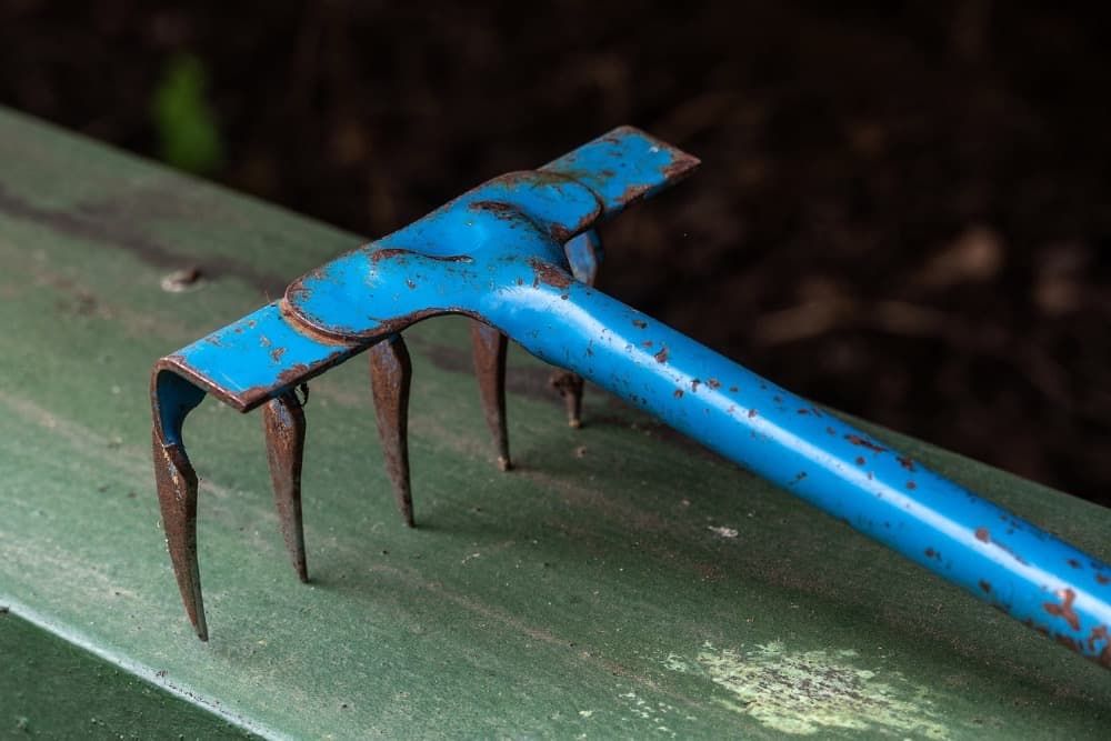 How To Prepare Your Garden Bed For Fall