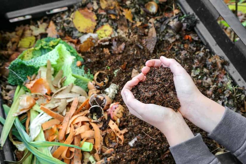 How to Use Compost in Your Garden
