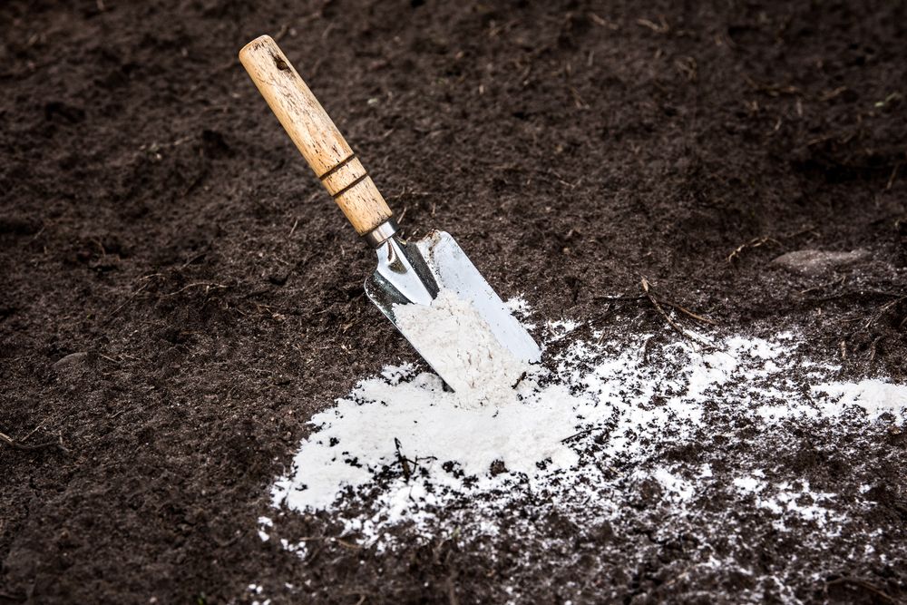 8 Reasons to Use Lime on Your Lawn
