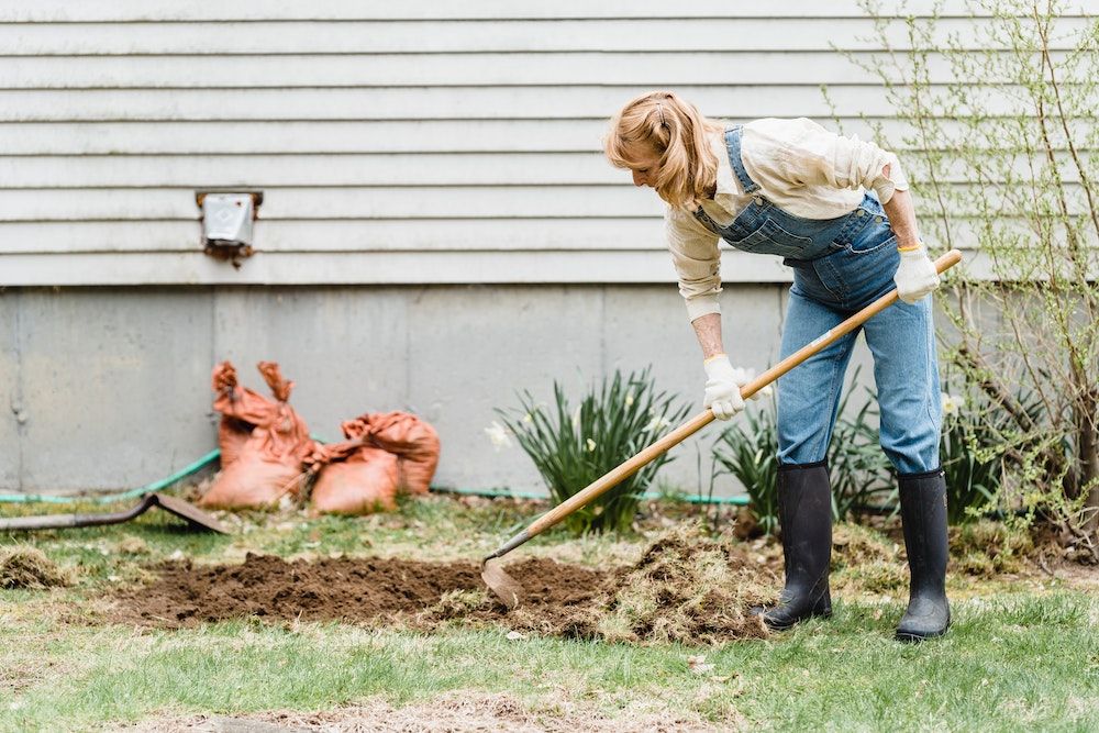 How to Grow Epazote in Your Herb Garden