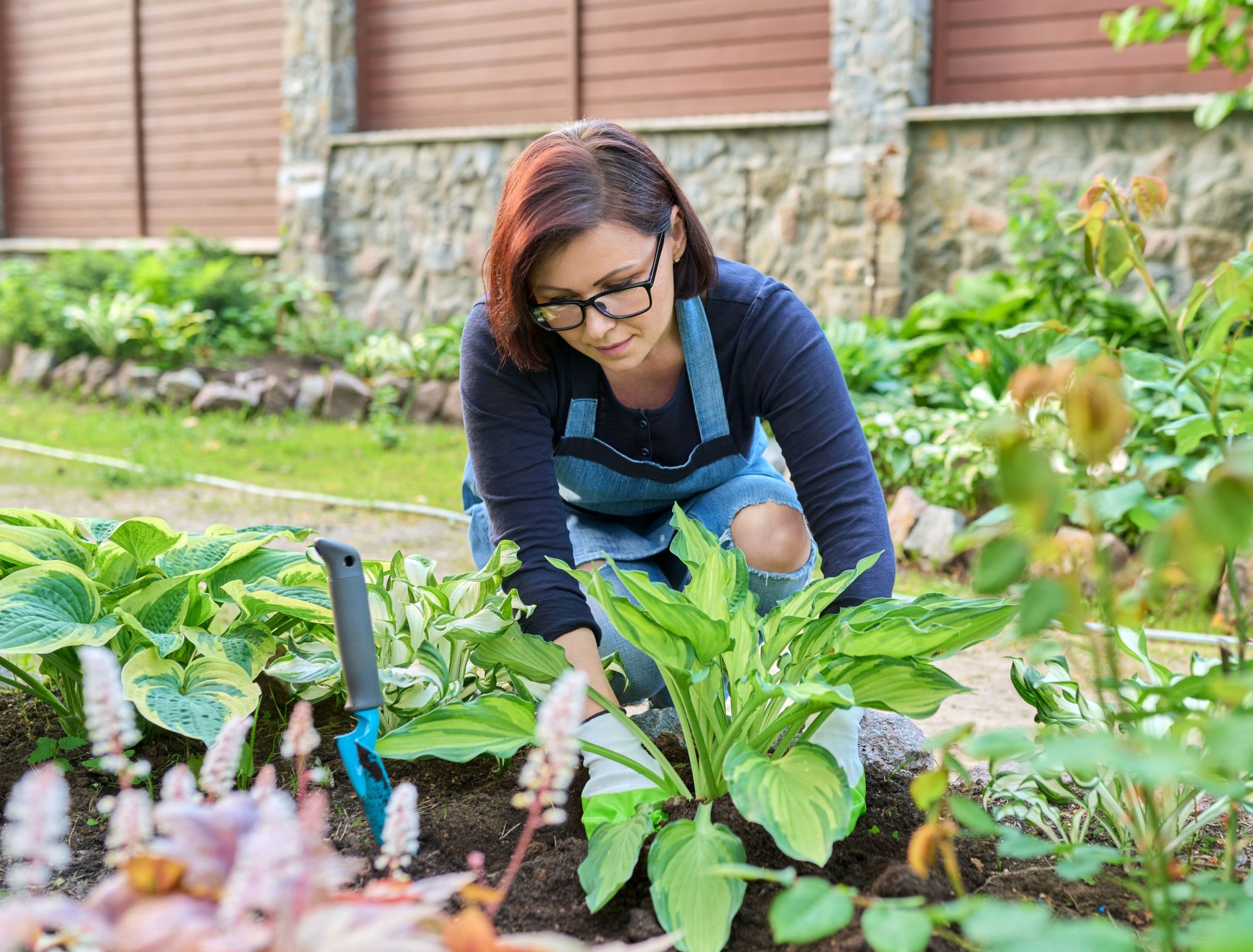 How to Care for Hostas in the Fall