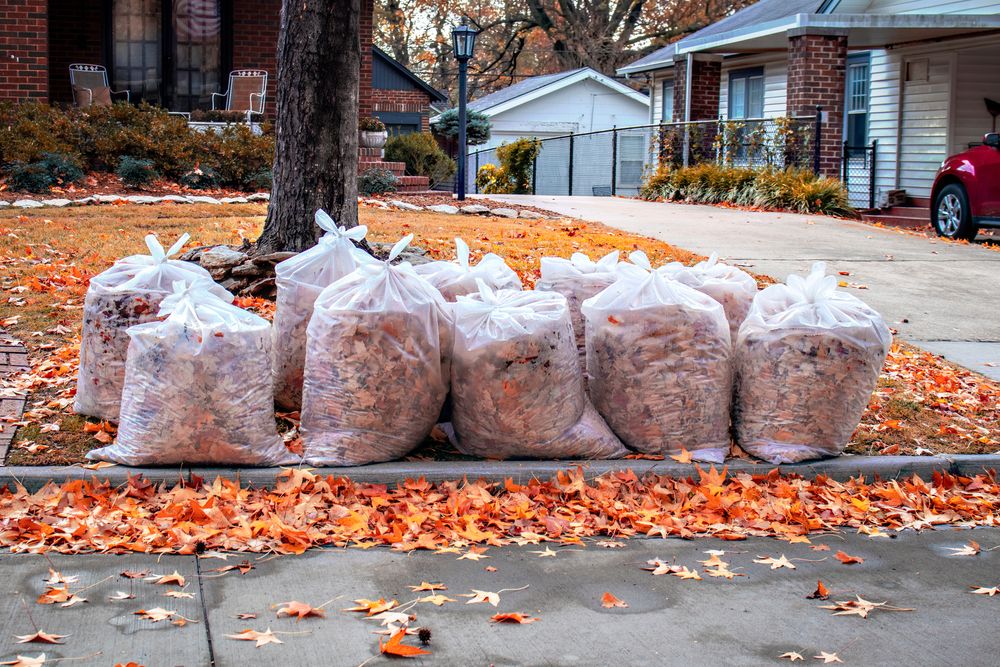7 Reasons to Mulch Leaves Rather Than Raking