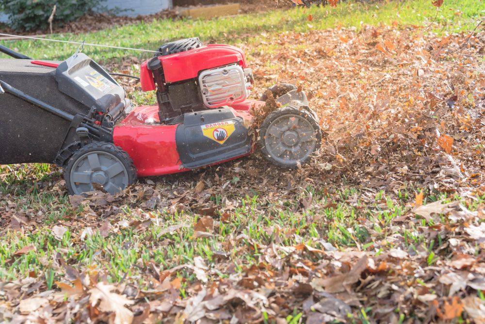7 Reasons to Mulch Leaves Rather Than Raking