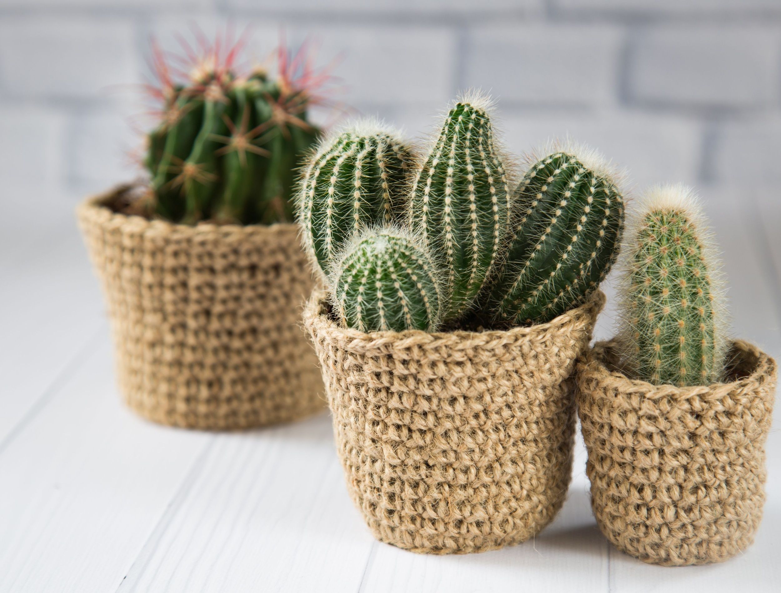 10 Ways to Spruce up Your Planters