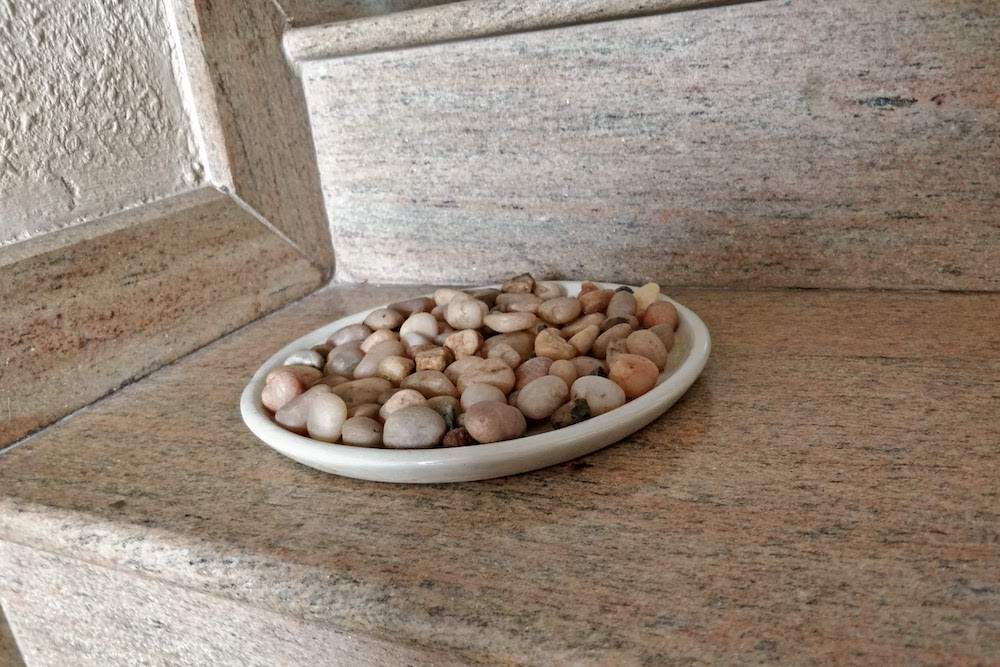 How To Increase Houseplant Humidity with a Pebble Tray
