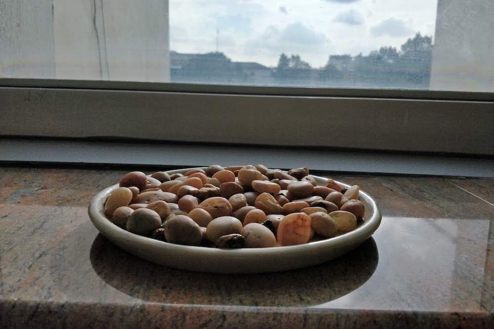 How To Increase Houseplant Humidity with a Pebble Tray
