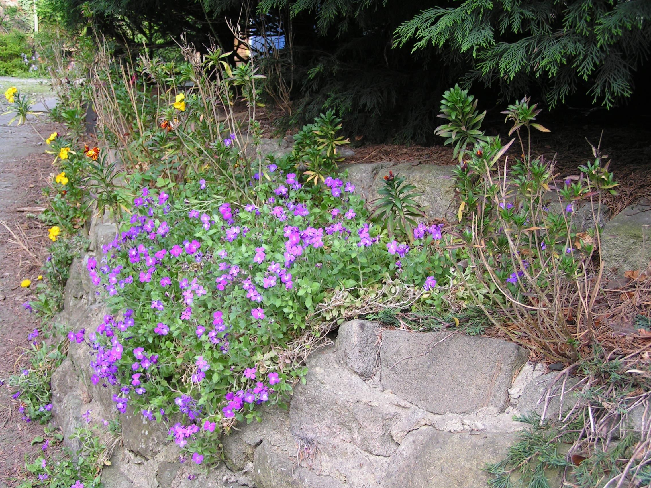 6 Beautiful Flower Bed Ideas For Home Garden