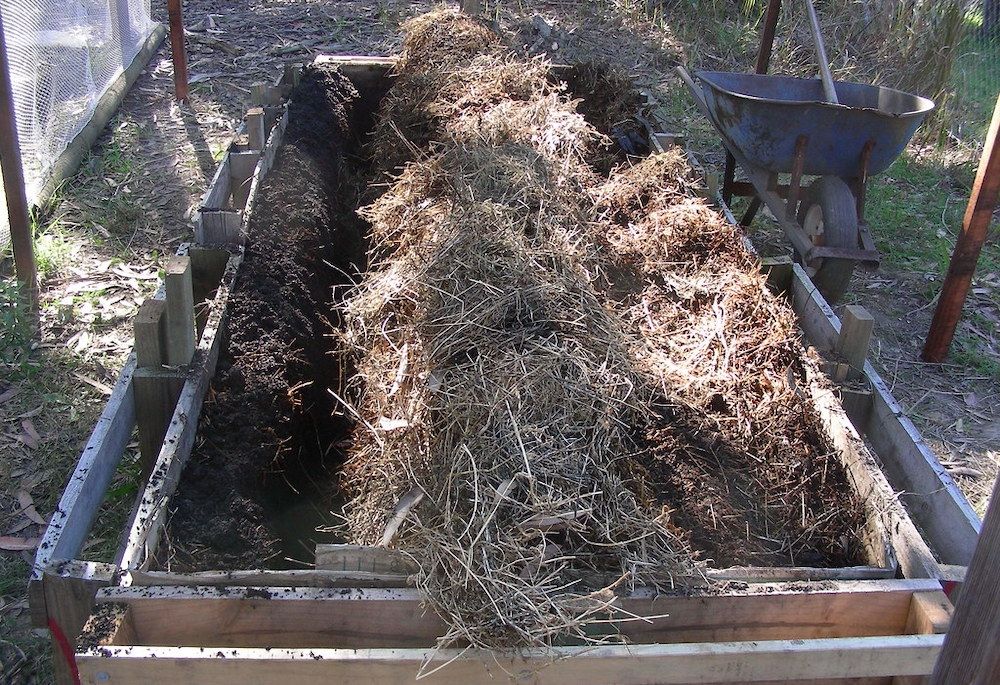 5 Cheap Ways to Fill Your Raised Garden Beds