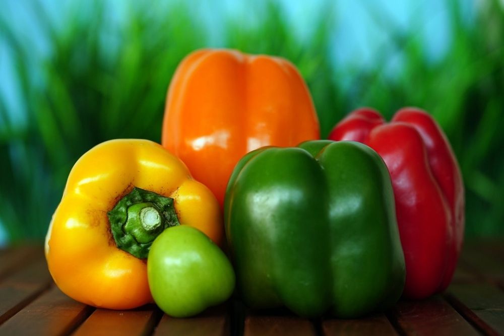 How to Grow Bell Peppers From Bell Peppers