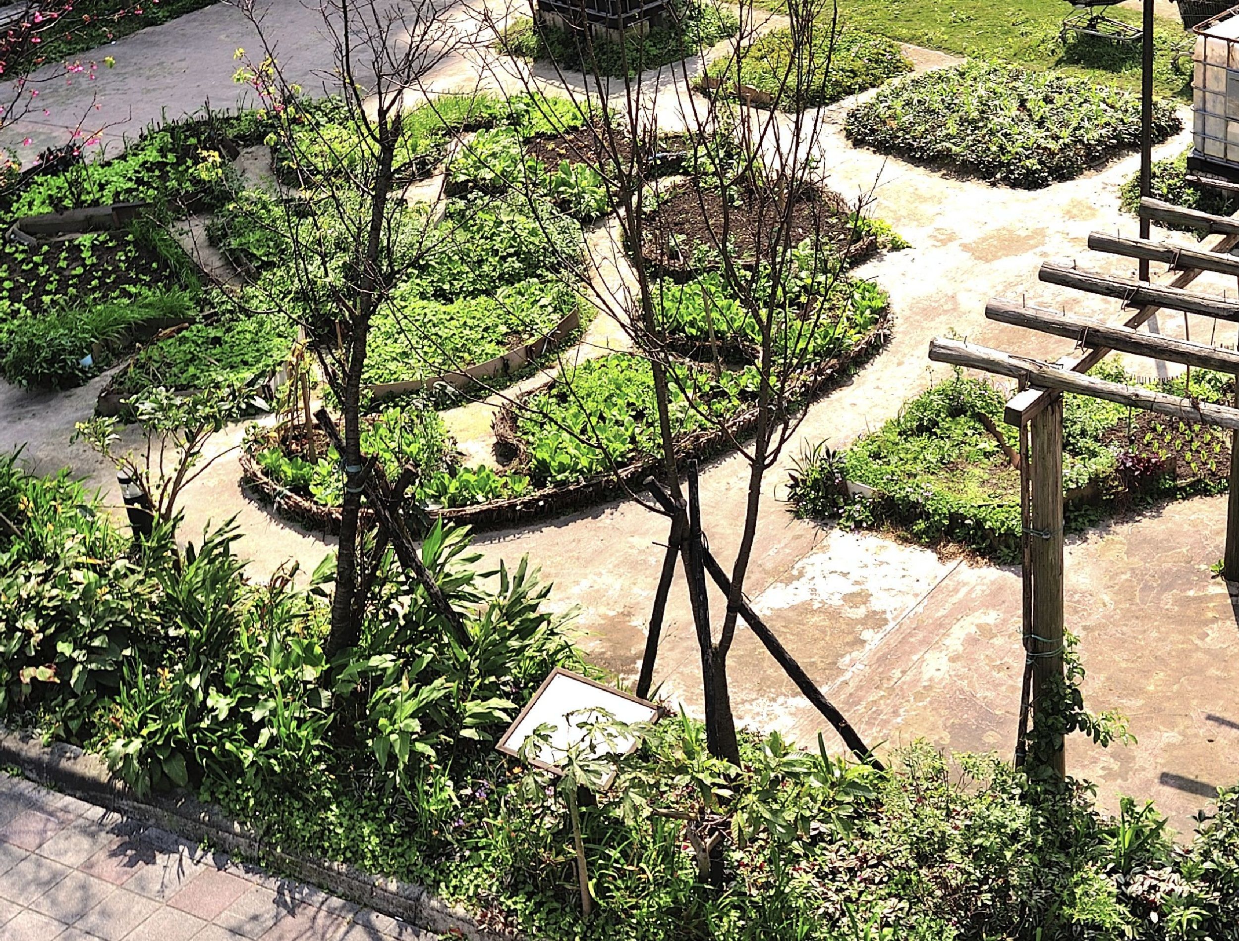 5 Benefits of Keyhole Gardening