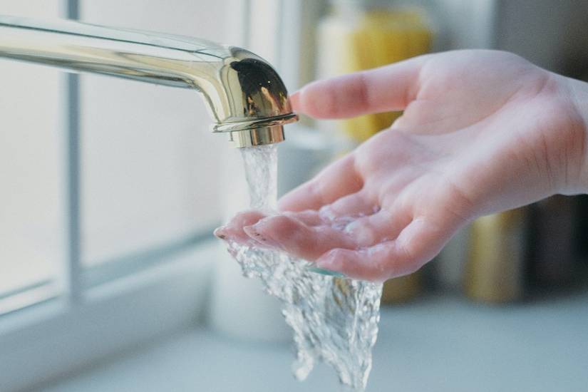 5 Reasons Your Spider Plant Tips Are Brown