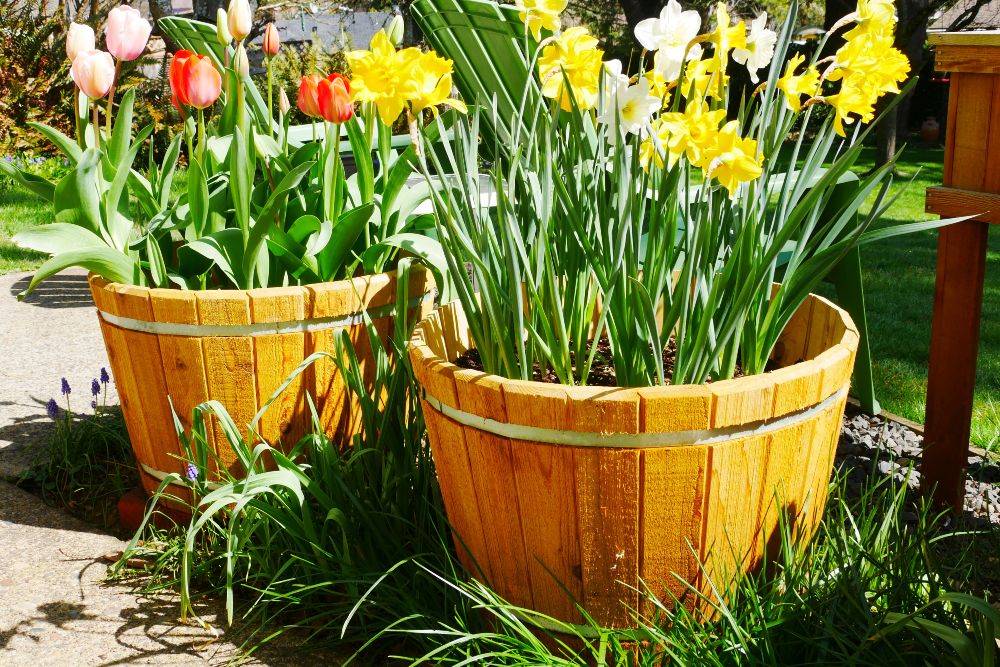 14 Spring Container Garden Ideas