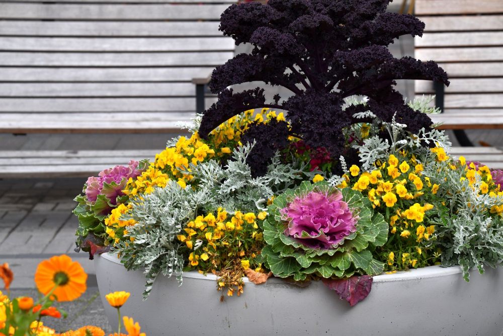 14 Spring Container Garden Ideas
