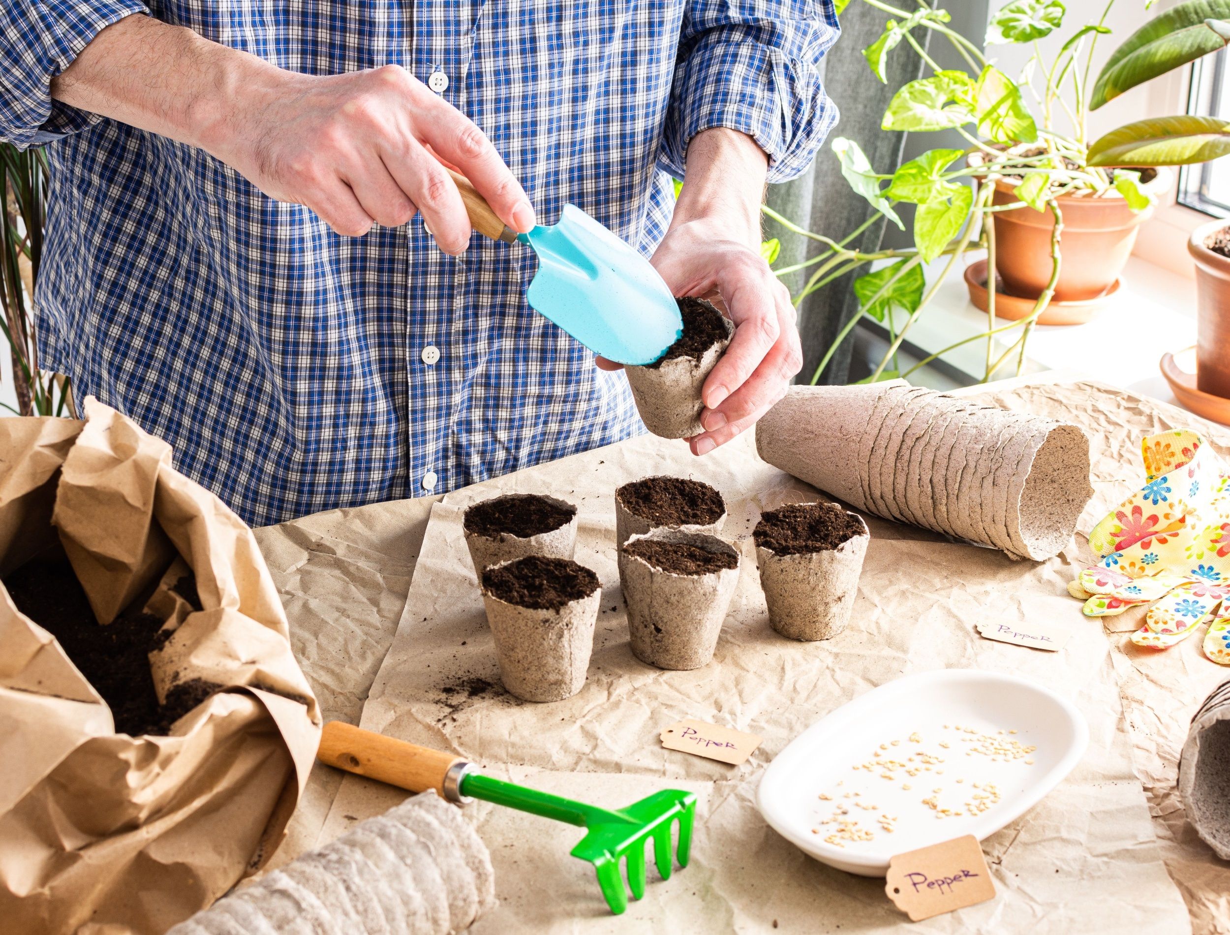 How to Grow Peppers From Seed