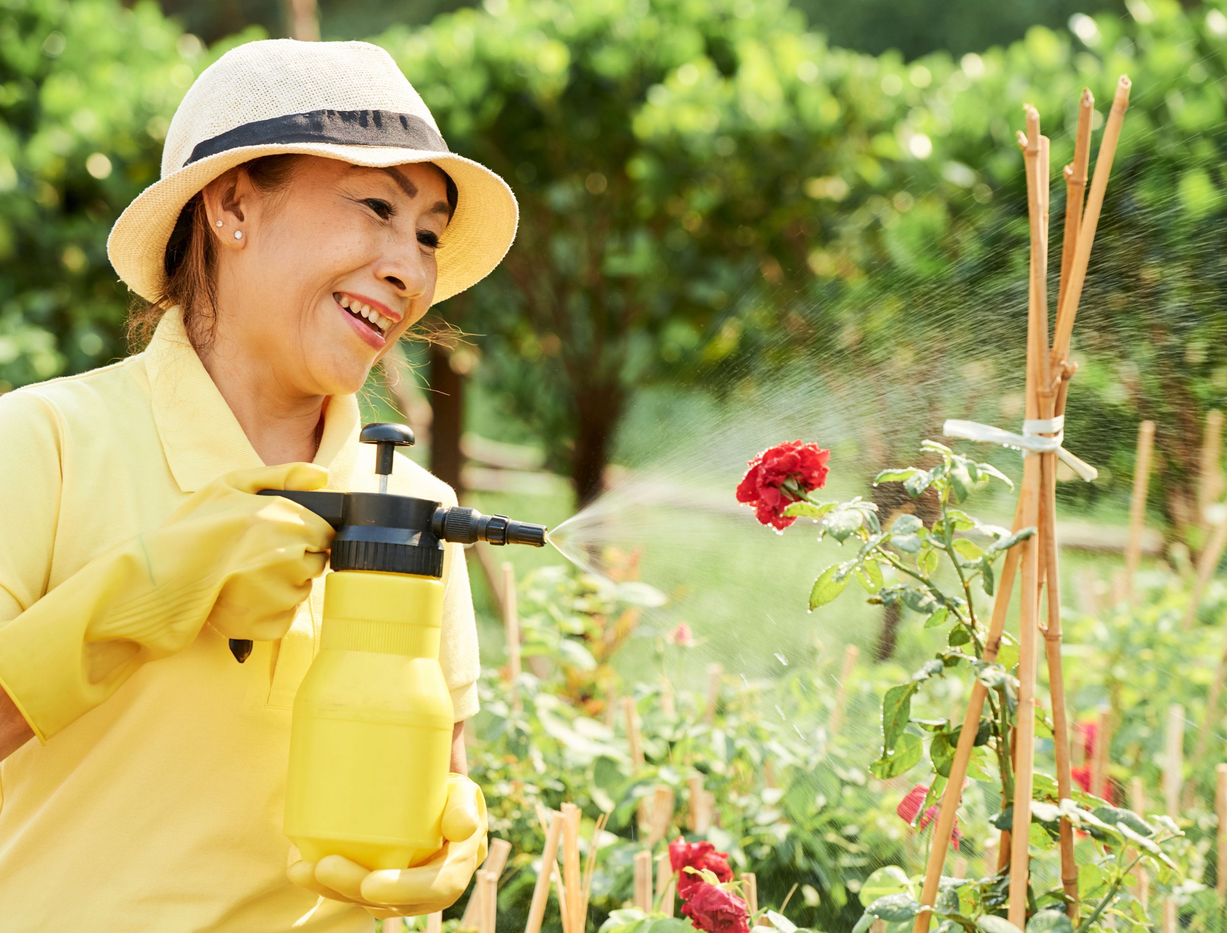 Backyard Boss: Gardening, Backyard projects, Landscaping, Outdoor ...