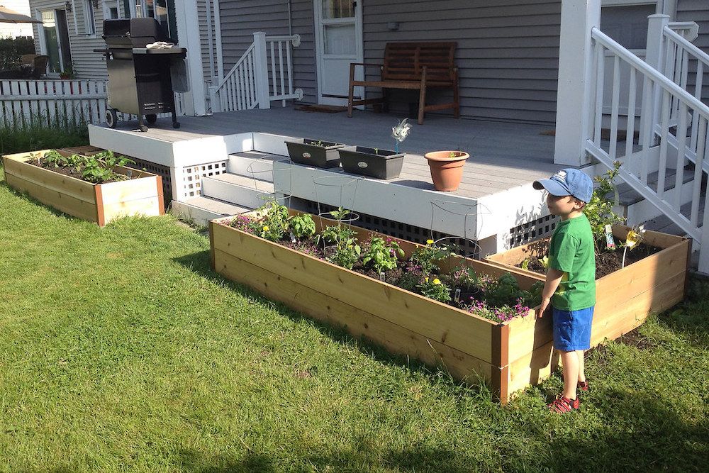 How Wide Should You Make Your Raised Bed?