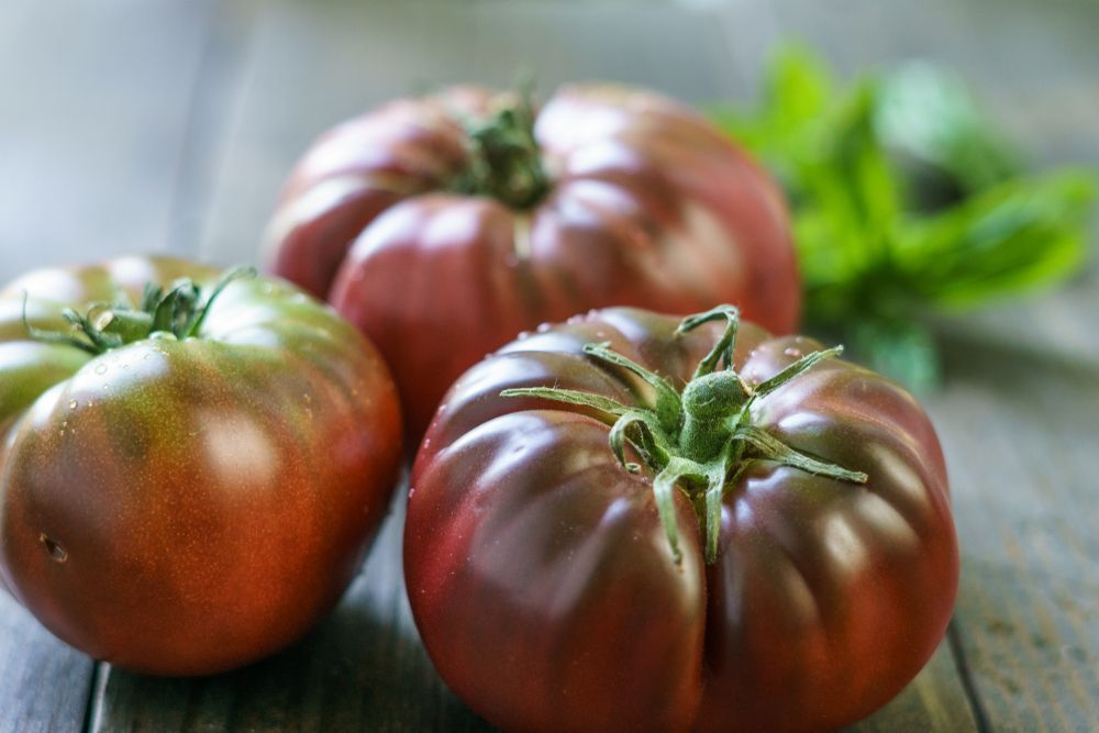 7 Best Heirloom Tomato Varieties for Your Garden